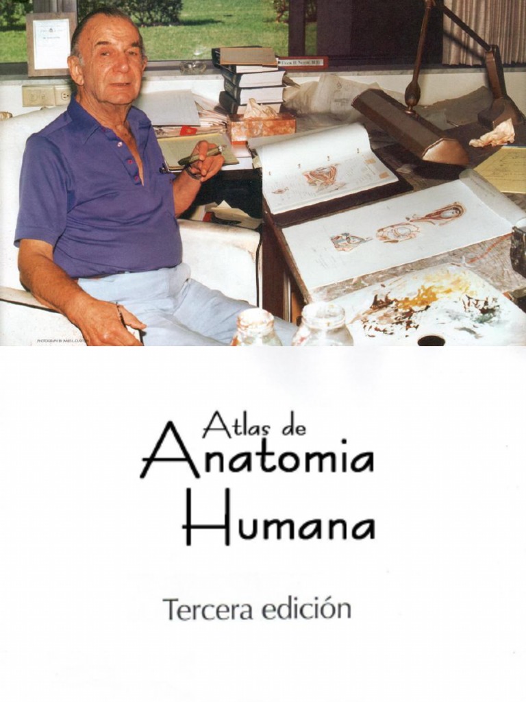 Atlas de Anatomia Humana Netter 7 PDF Free | PDF