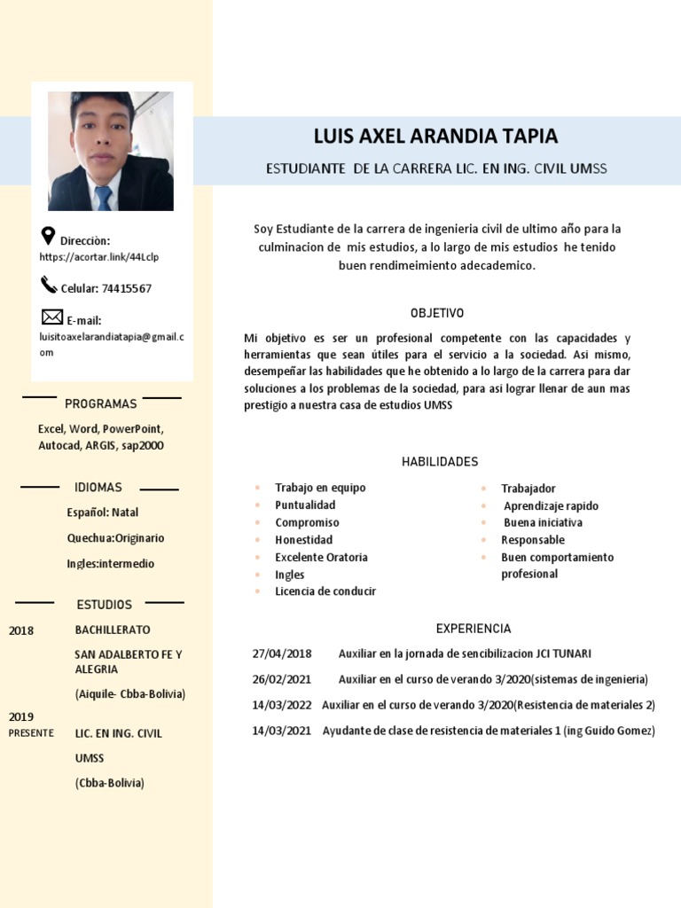 Curriculum - Vitae (Luis Axel Arandia Tapia) PDF | PDF