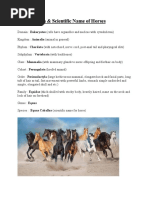 Horse Lapbook by Creative Learning Fun | PDF | Horse Gait | Horses