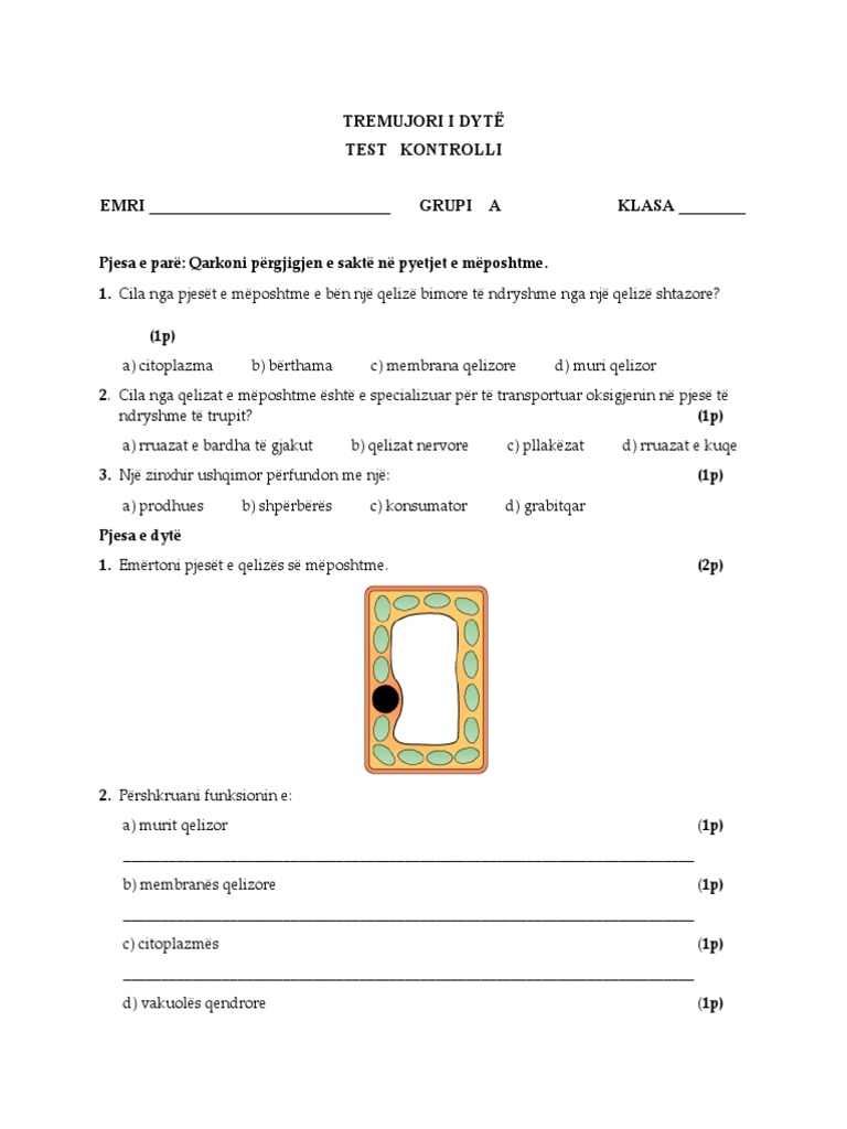 Biologjia 7 Teste Tremujori II | PDF