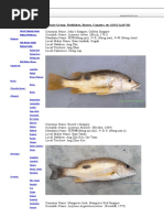 Common Names of Fish in The Phillippines | PDF | Philippines | Seafood