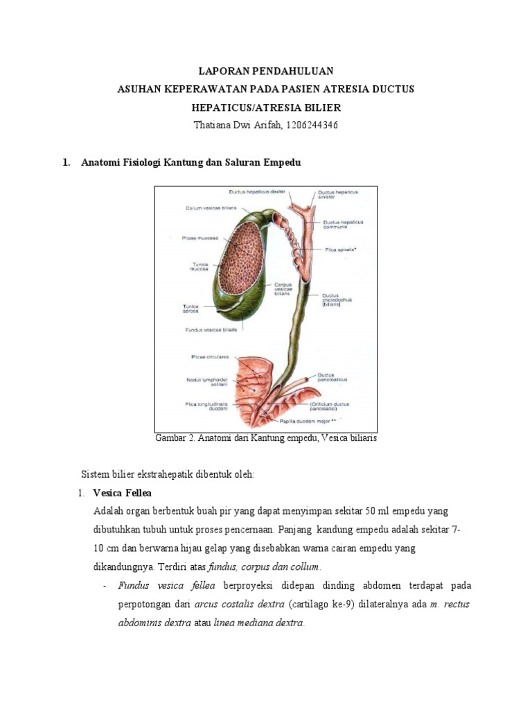 Asuhan Keperawatan Atresia Bilier | PDF | Ilmu Sosial | Kesehatan Holistik