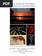 Coral Identification Guide for Divers | PDF | Coral | Coral Reef