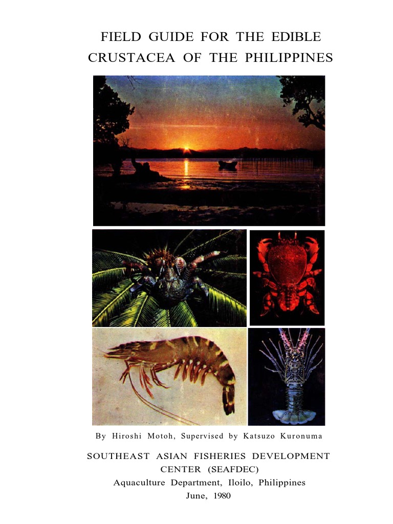 Field Guide For The Edible Crustacea of The Philippines | PDF ...