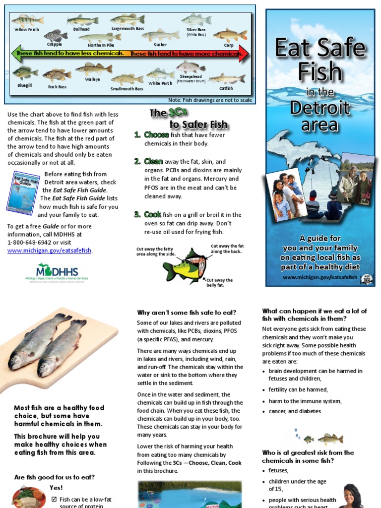 Eat Safe Fish: Detroit Area | PDF | Fish