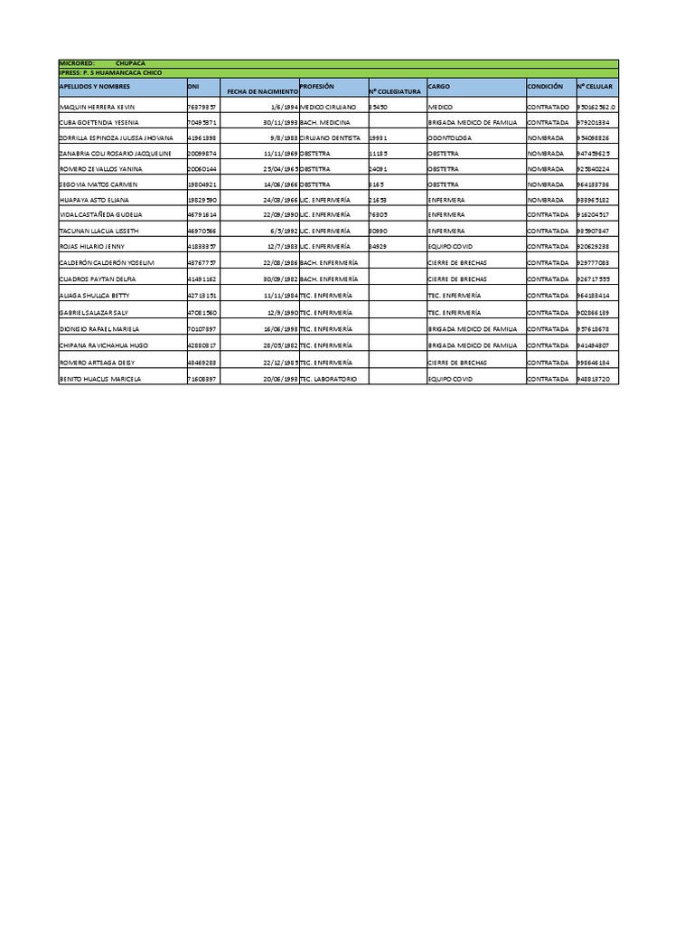 Formato Datos Renipress | PDF
