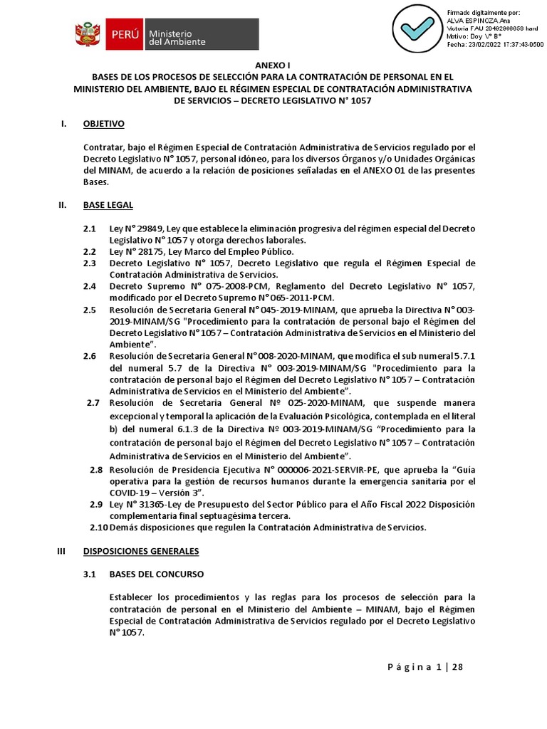 Bases CAS 2022 - MINAM | PDF | Titulo academico | Gestión de recursos ...