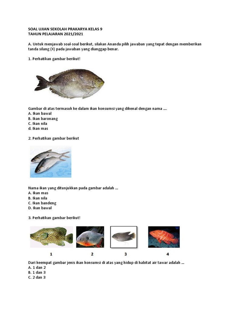 Soal PTS Prakarya Kelas 9 Semester Genap | PDF