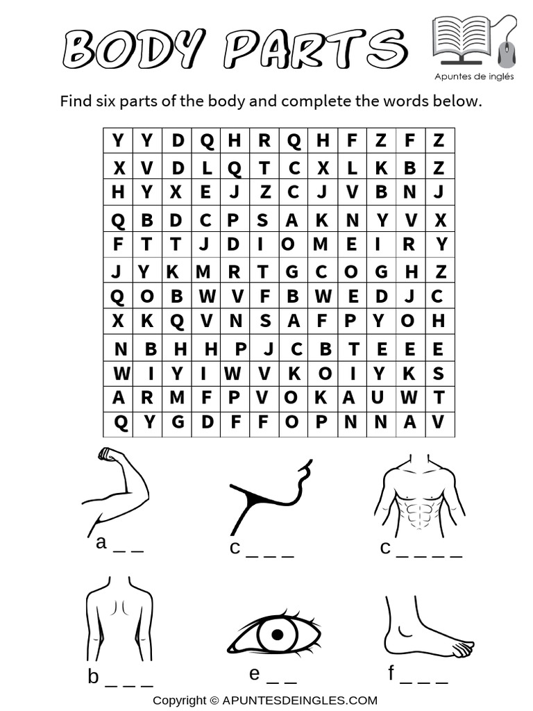 Sopa de Letras - Partes Del Cuerpo 2 | PDF