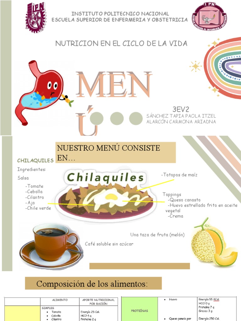 MENU | PDF | Digestión | Tracto gastrointestinal