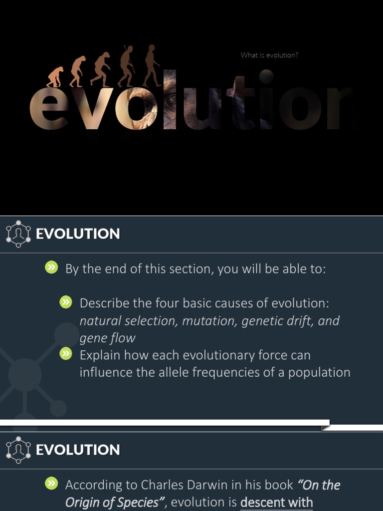 Evolution | PDF | Evolution | Natural Selection