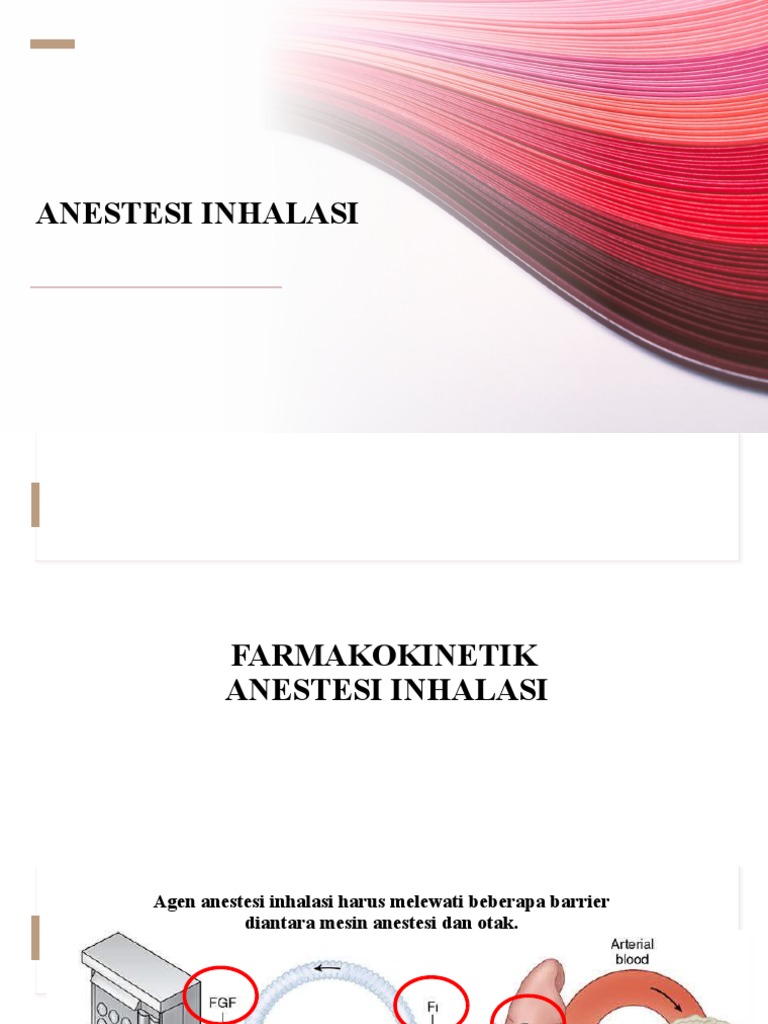 Anestesi Inhalasi | PDF