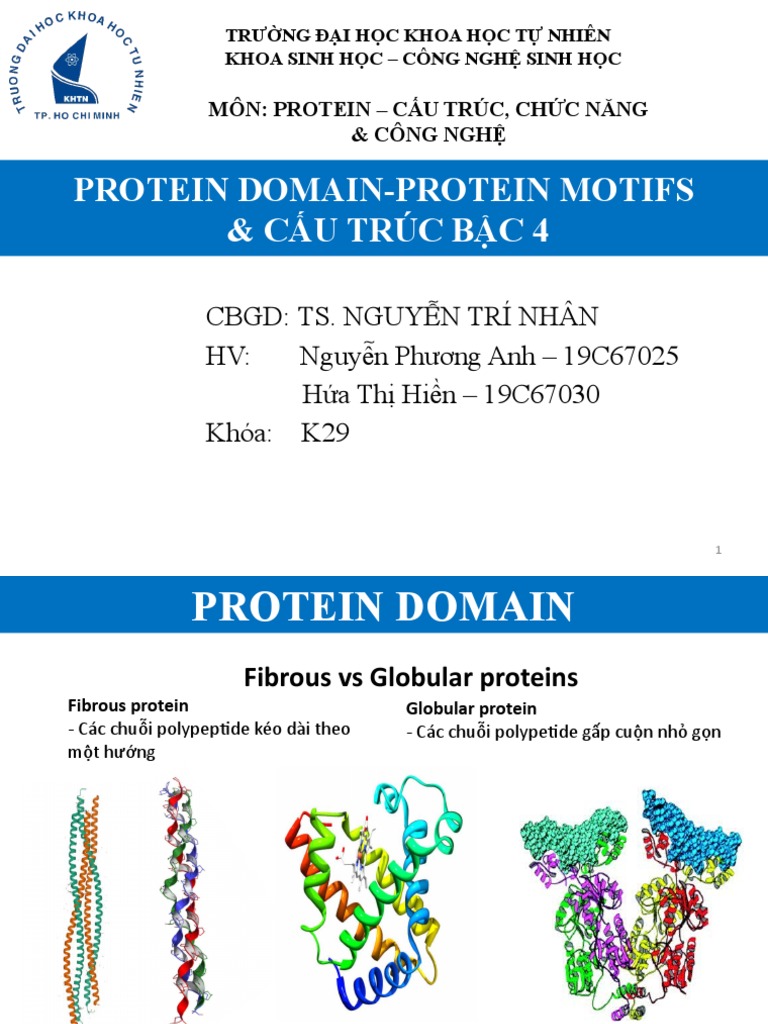 Protein Domain-Protein Motif | PDF