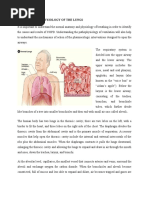 Sam Sepsis Leaflet | PDF | Sepsis | Diseases And Disorders
