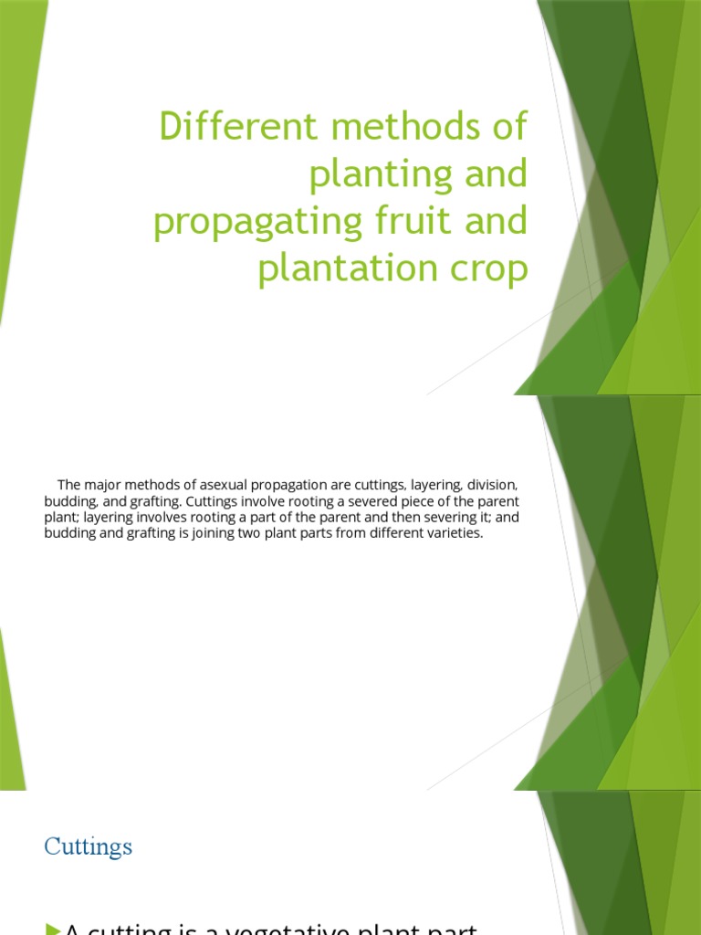 Agriculture Report | PDF