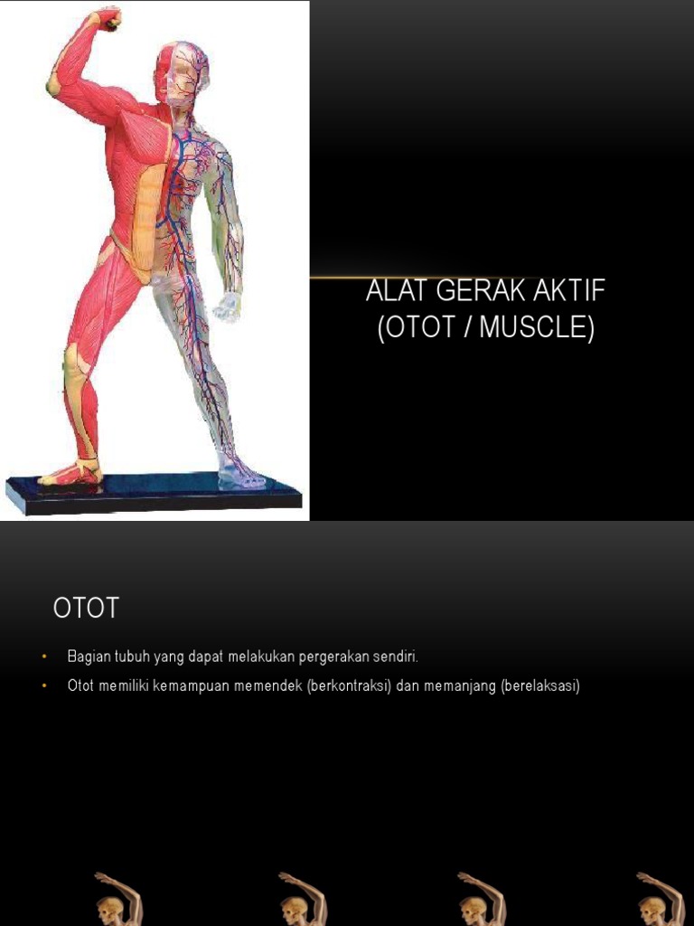 Alat Gerak Aktif | PDF