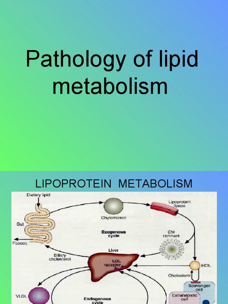 Pathology of Lipid Metabolism | PDF | Cholesterol | Hypercholesterolemia