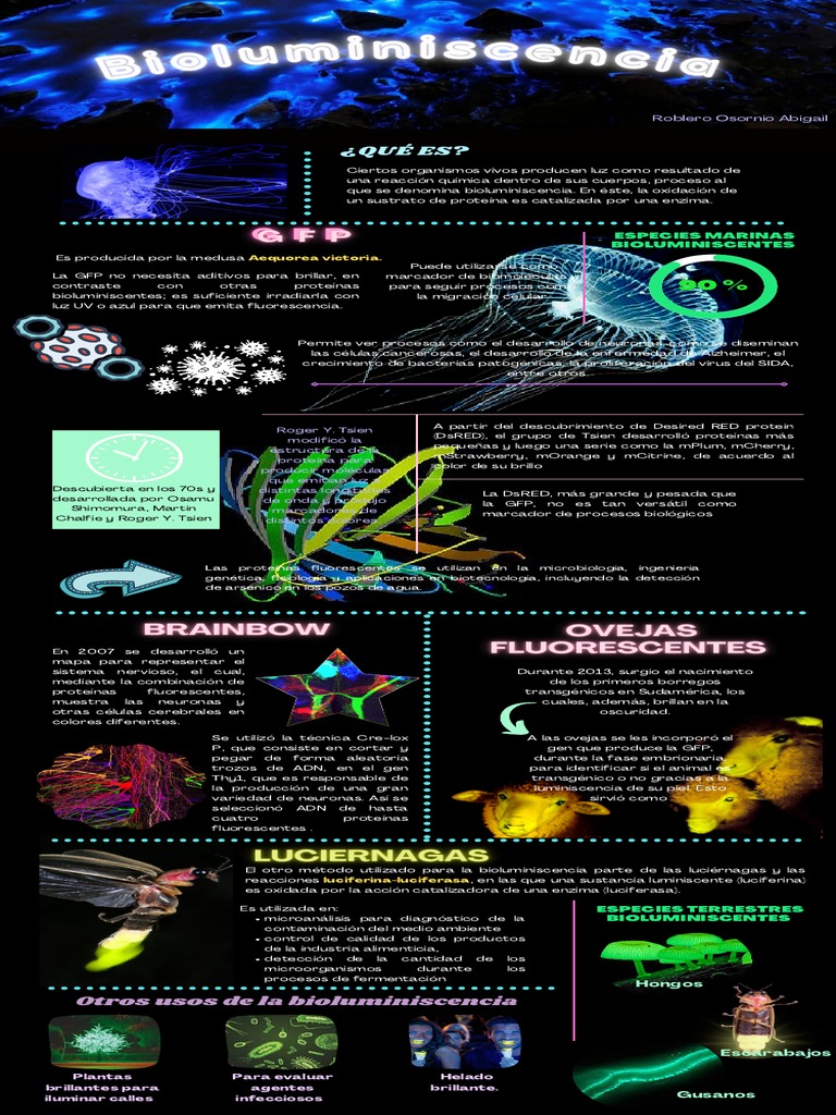 Bioluminiscencia: Aplicaciones y Descubrimientos | PDF | Proteína Verde ...