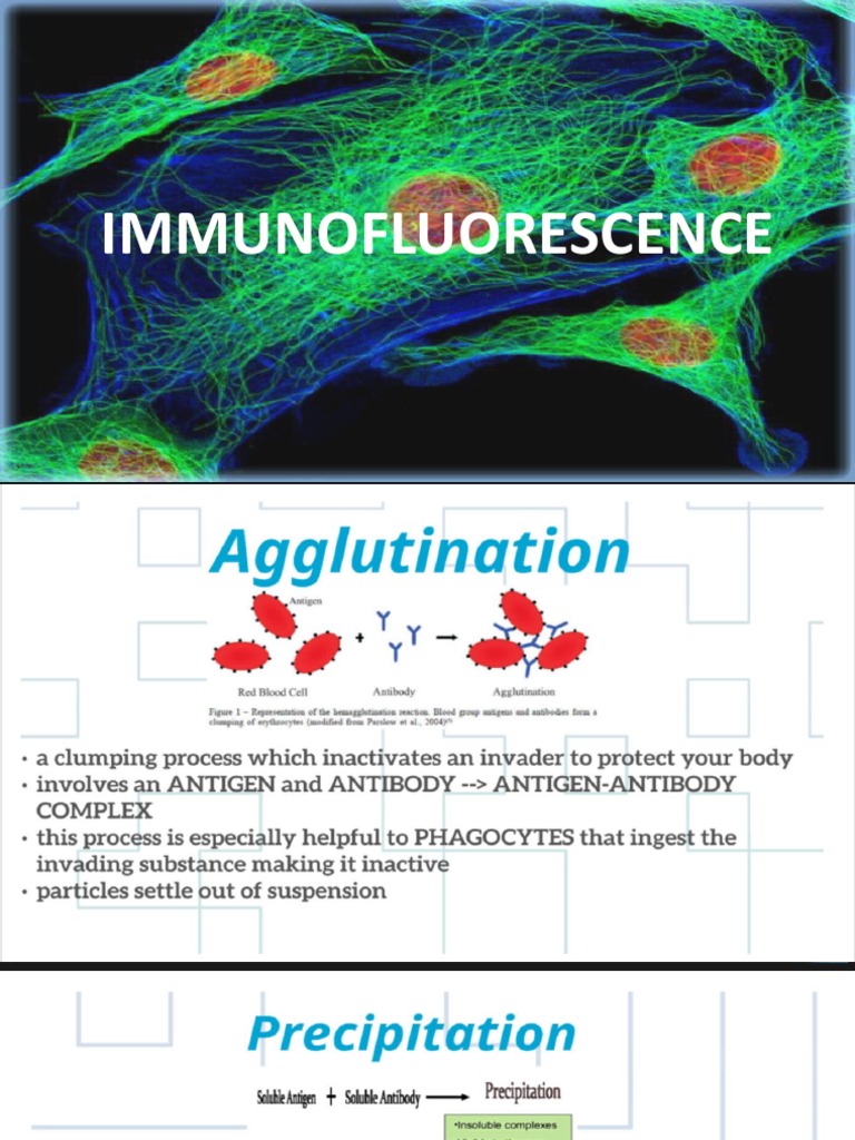 Immuno Fluorescence | PDF | Immunofluorescence | Antibody