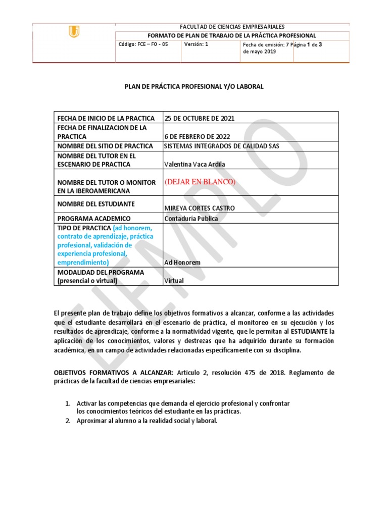 EJEMPLO AD HONOREM - Plan de Trabajo | PDF