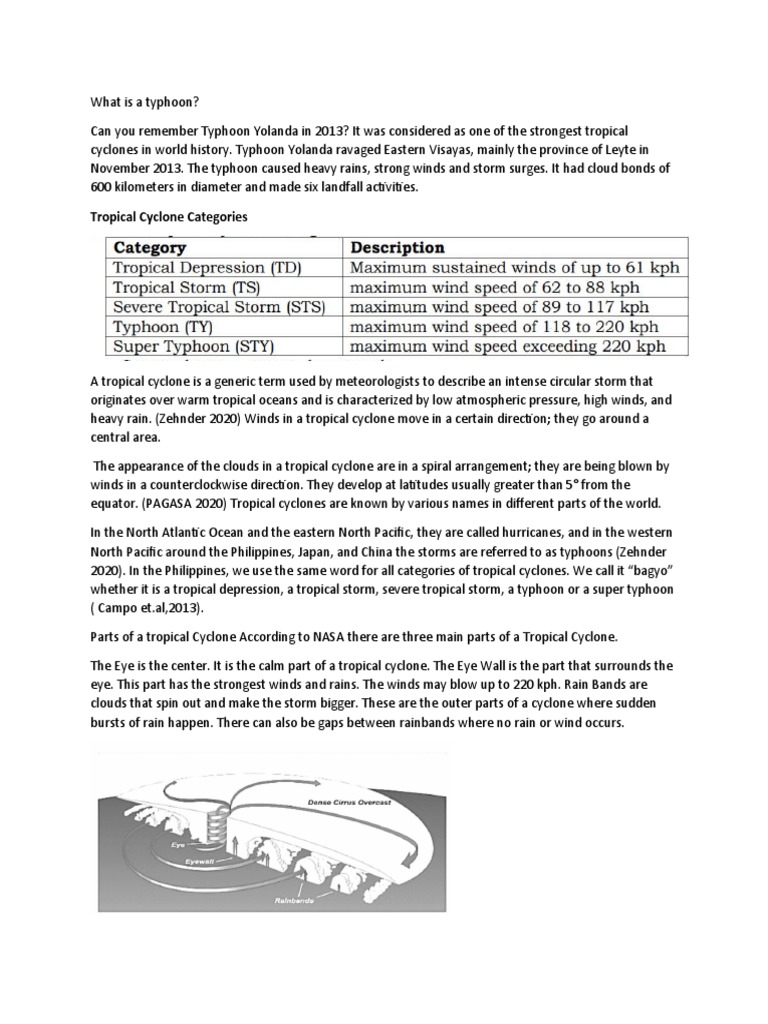 Understanding Typhoons for Students | PDF | Tropical Cyclones | Eye ...