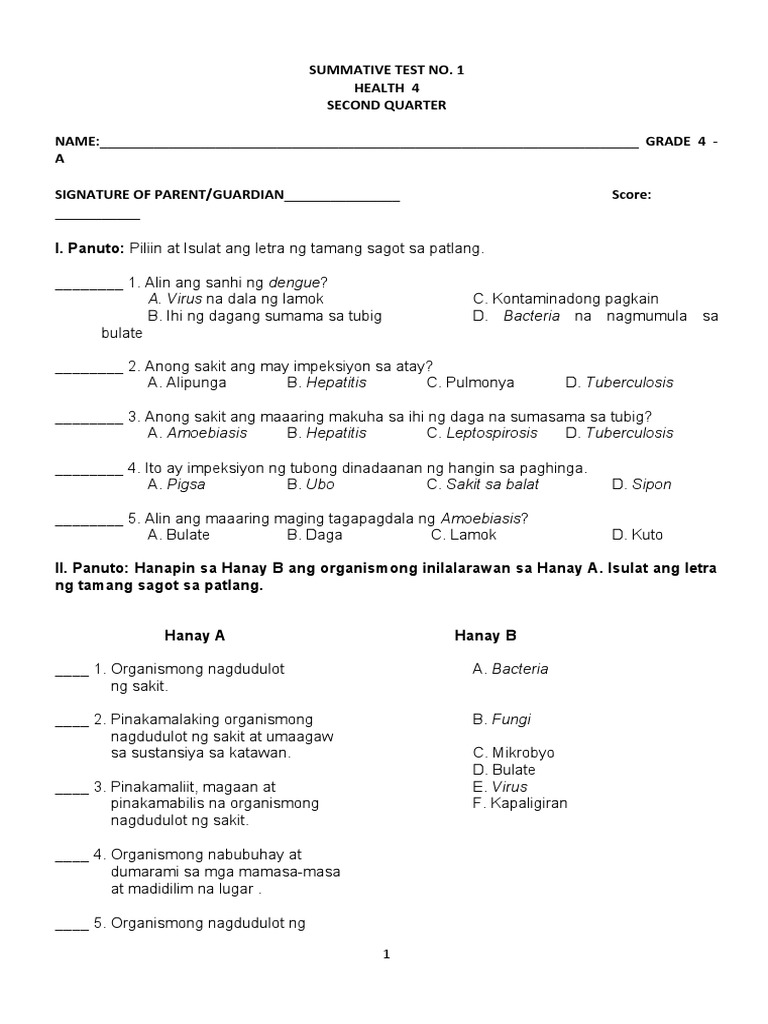 Summative Test Health | PDF
