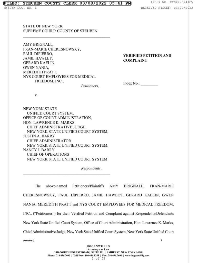 Amy Brignall Et Al v. New York State Unified Court System Et. Al | PDF