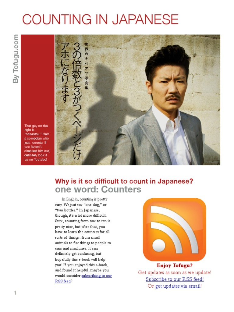 Comprehensive Guide to Japanese Counters | PDF