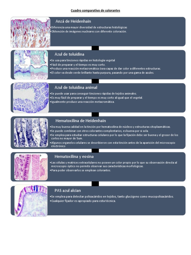 Clasificación de Colorantes Histológicos | PDF