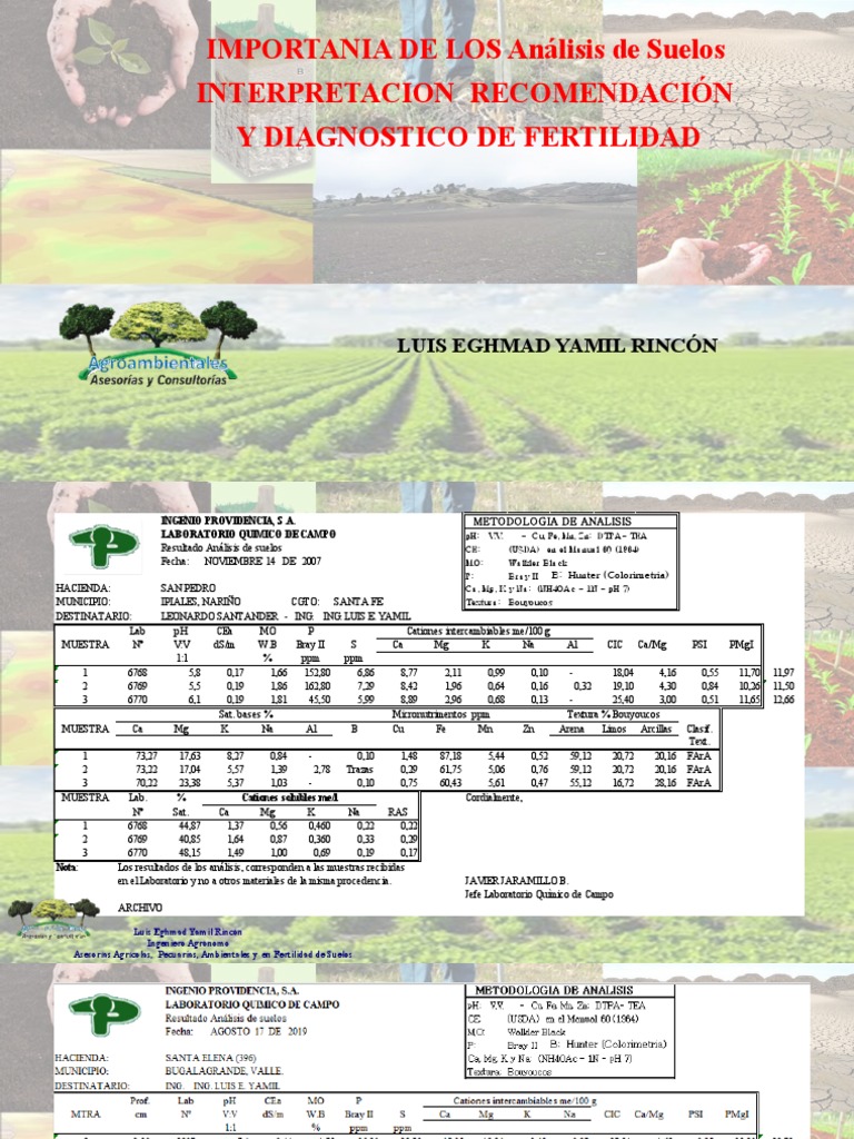 Clase Interpretación Analisis de Suelos | Descargar gratis PDF | Fertilizante | Agronomía