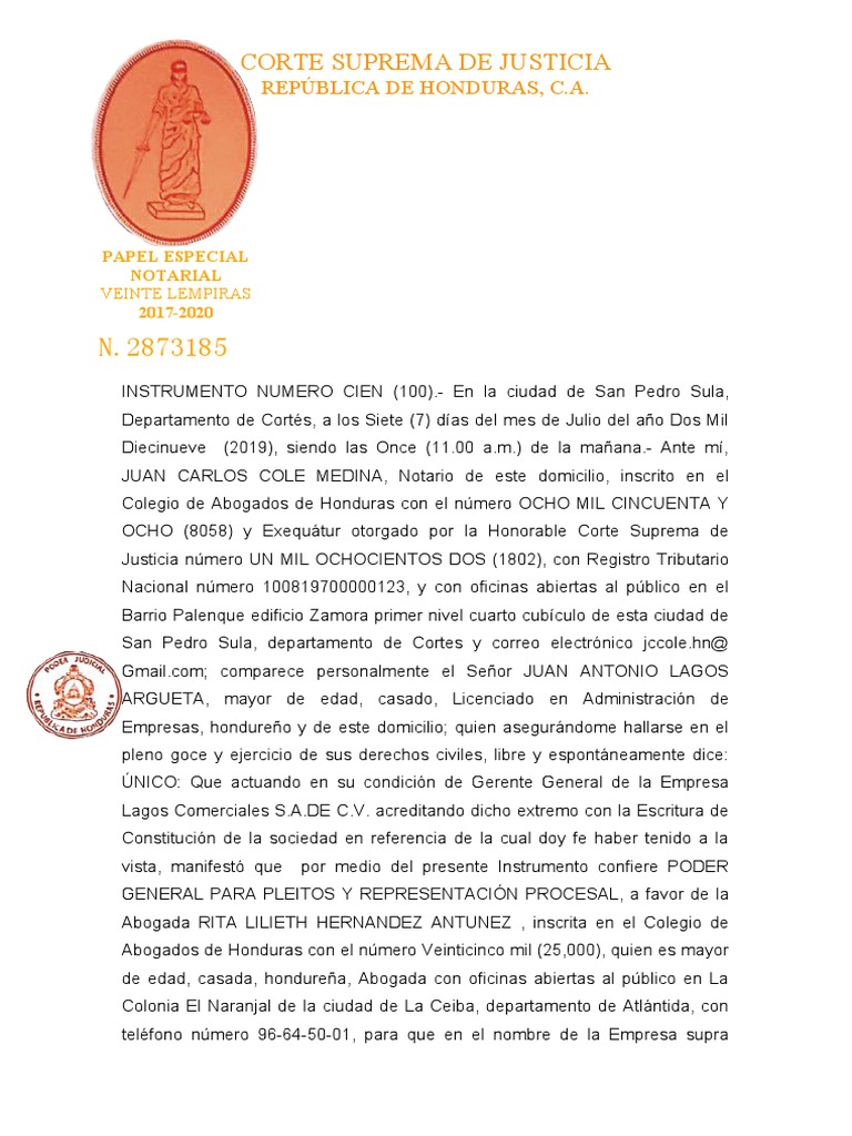 Poder General para Pleitos | PDF | Gobierno | Justicia