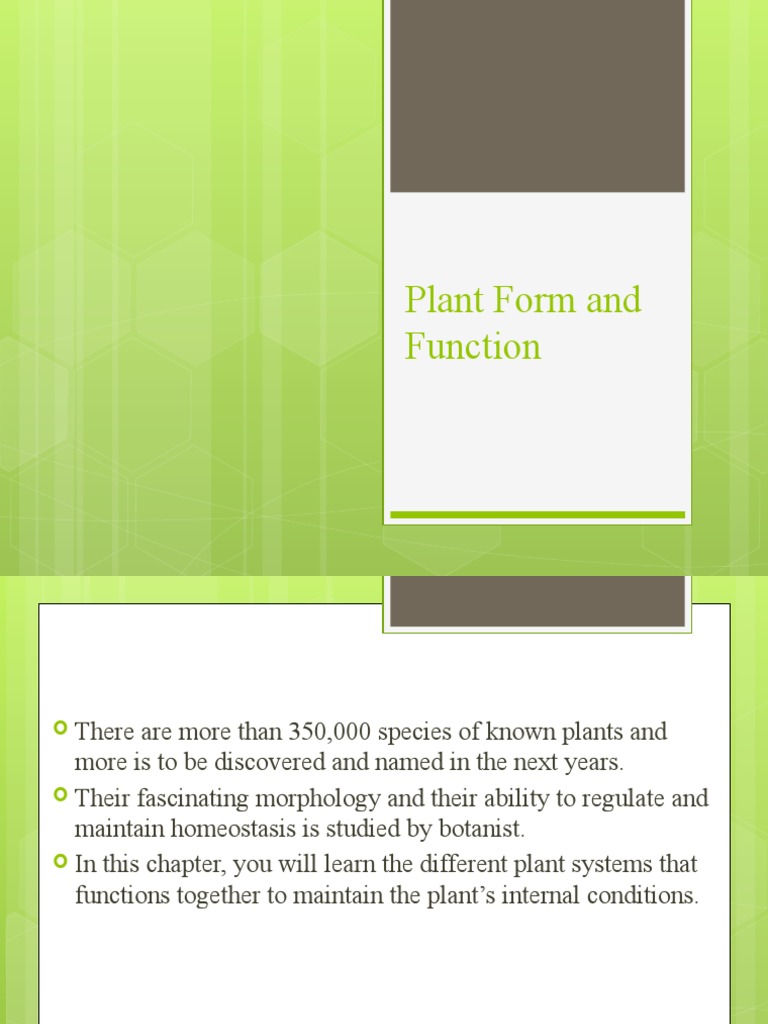 Plant Form and Function Gen Bio II | PDF | Root | Plant Hormone