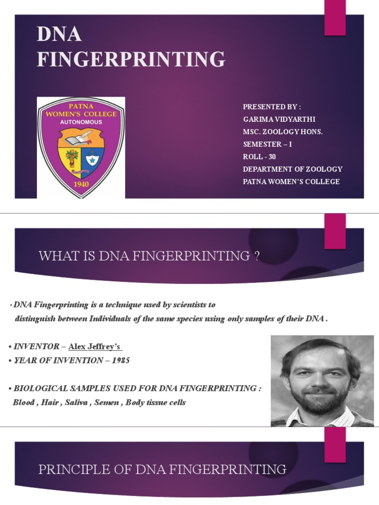 DNA Fingerprinting: Invention and Process | PDF | Dna Profiling | Dna