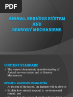 Exploring The Body System of The Carabao | PDF | Respiratory Tract | Neuron