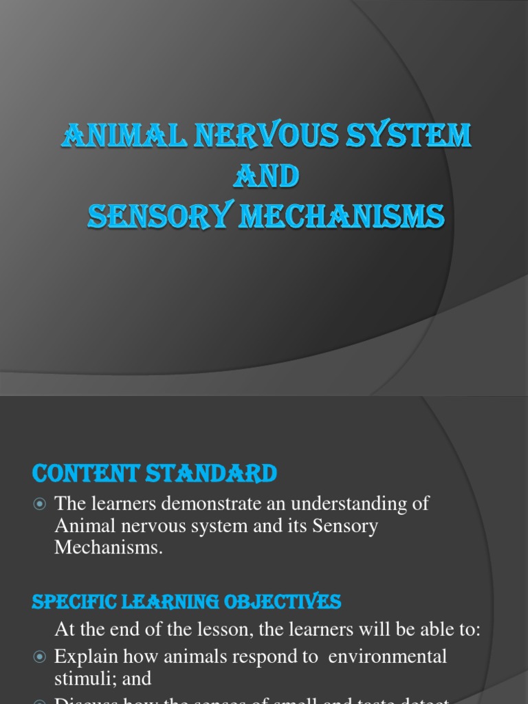 Week 004 Animal-Nervous-System | PDF | Neuron | Nervous System