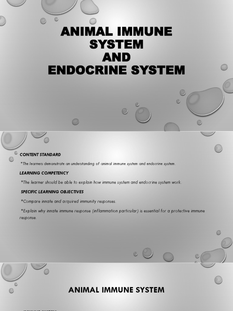 Animal Immune and Endocrine Systems Explained | PDF | Immune System ...