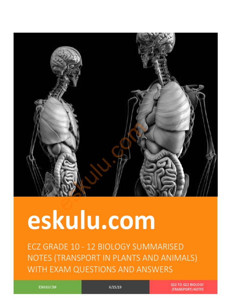 Grade 10-12 Biology: Transport Notes | PDF | Atrium (Heart) | Ventricle ...
