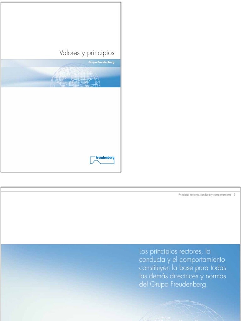 Valores y Principios. Grupo Freudenberg | PDF