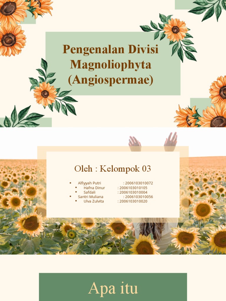 KLP 03 - Pengenalan Divisi Magnoliophyta (Angiospermae) | PDF