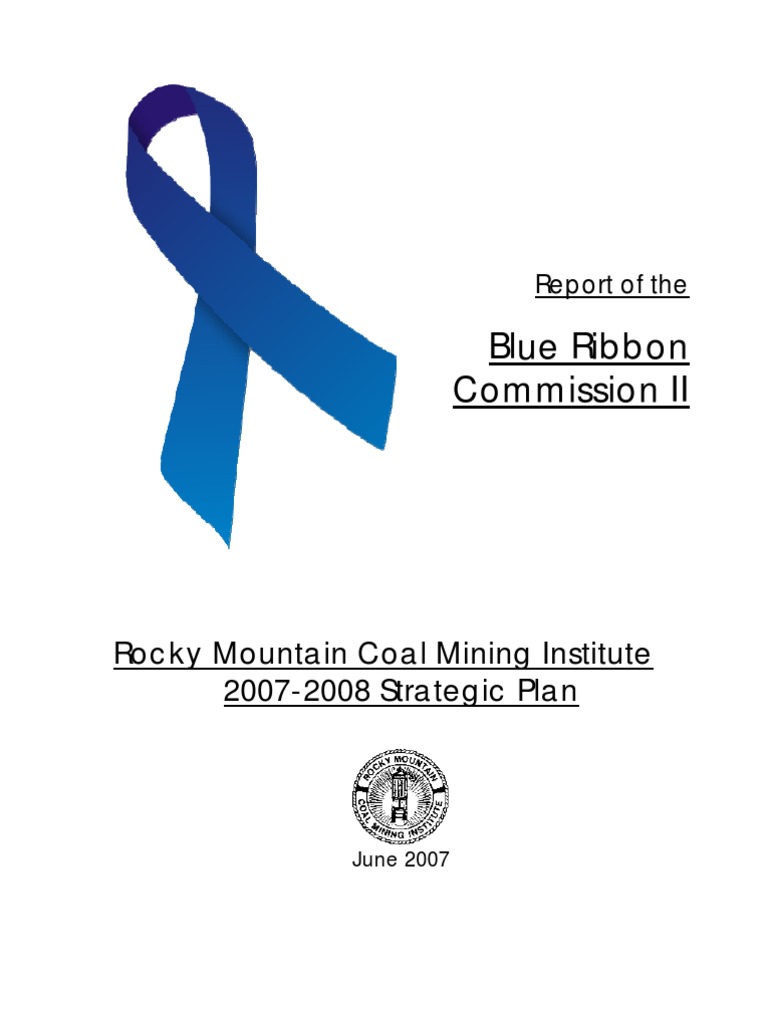 2007 Blue Ribbon Commission II Report | PDF | Goal | Board Of Directors