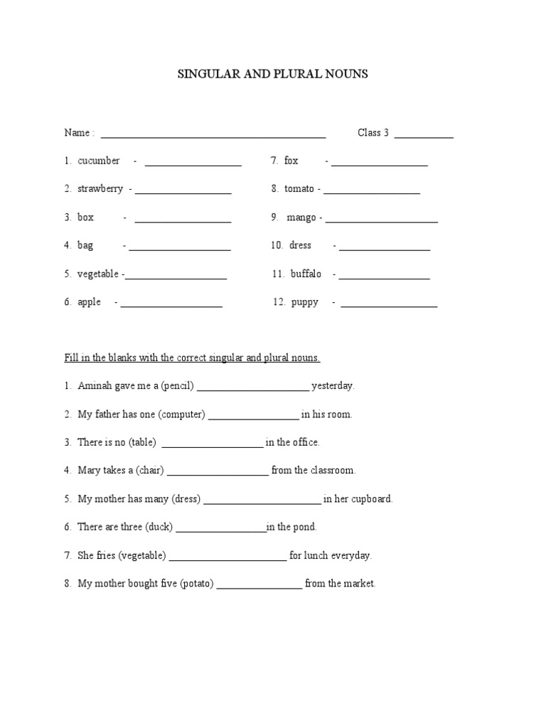 Singular and Plural (Worksheet) | PDF