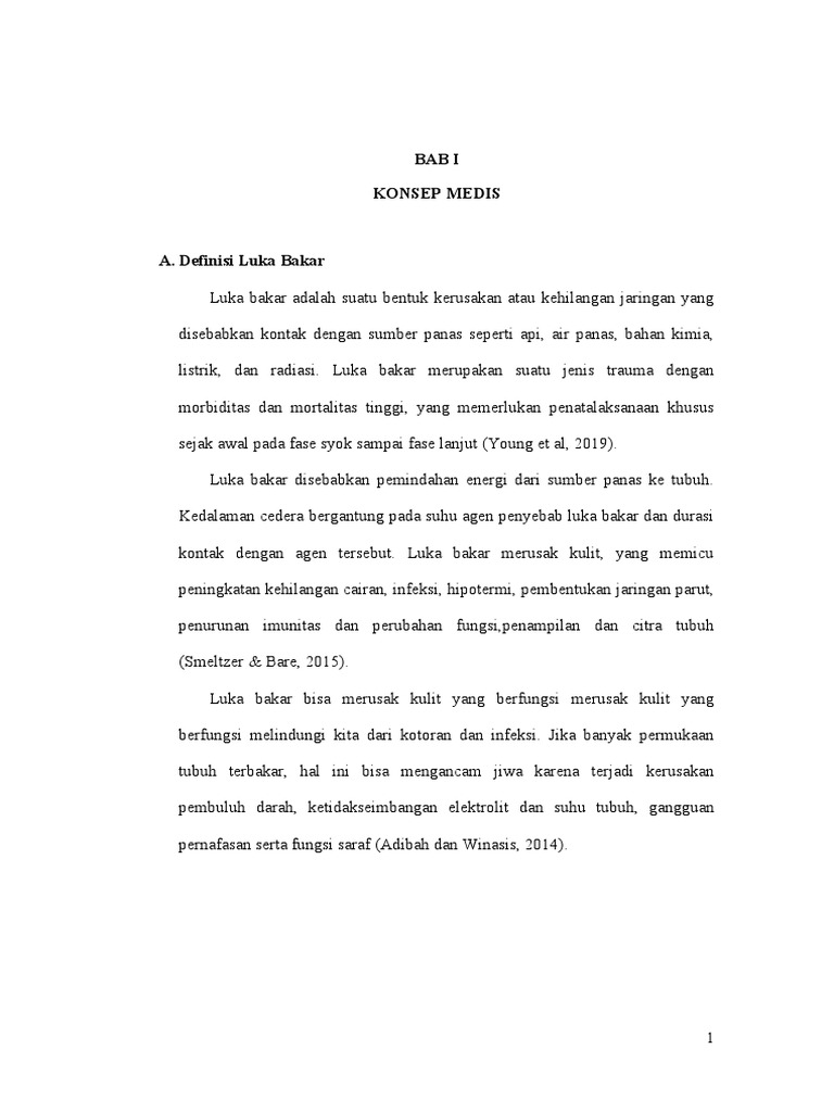 BAB 1 LP Luka Bakar | PDF