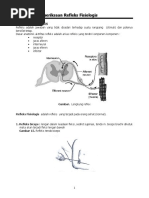 Pemeriksaan Refleks Fisiologis | PDF