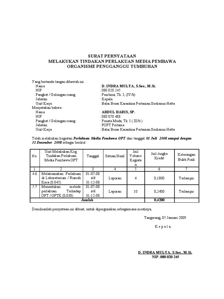 Surat Pernyataan Dupak Baru | PDF
