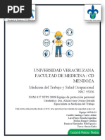 Nom-017 - STPS-2018 Equipo de Protección Personal | PDF