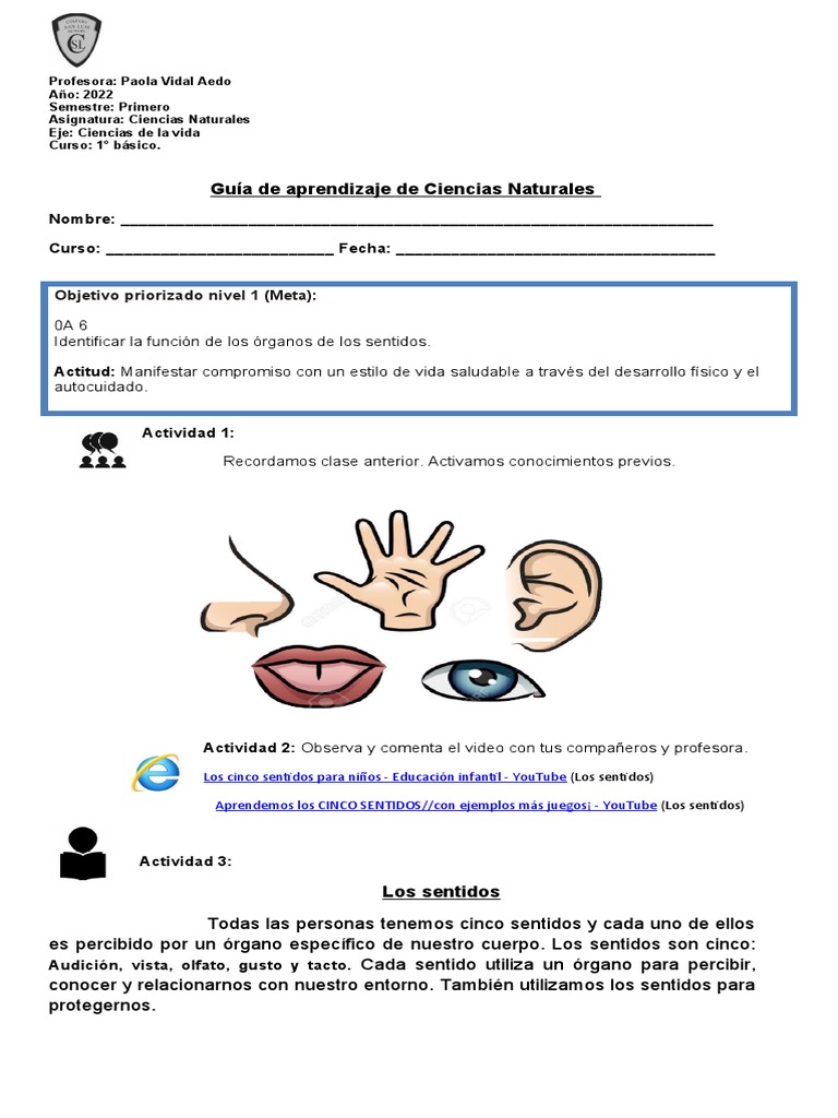 Guía de Aprendizaje Los Sentidos | PDF | Maestros | Aprendizaje