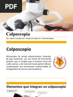 Colposcopia Normal y Anomalías Cervicales | PDF | Epitelio | Vagina