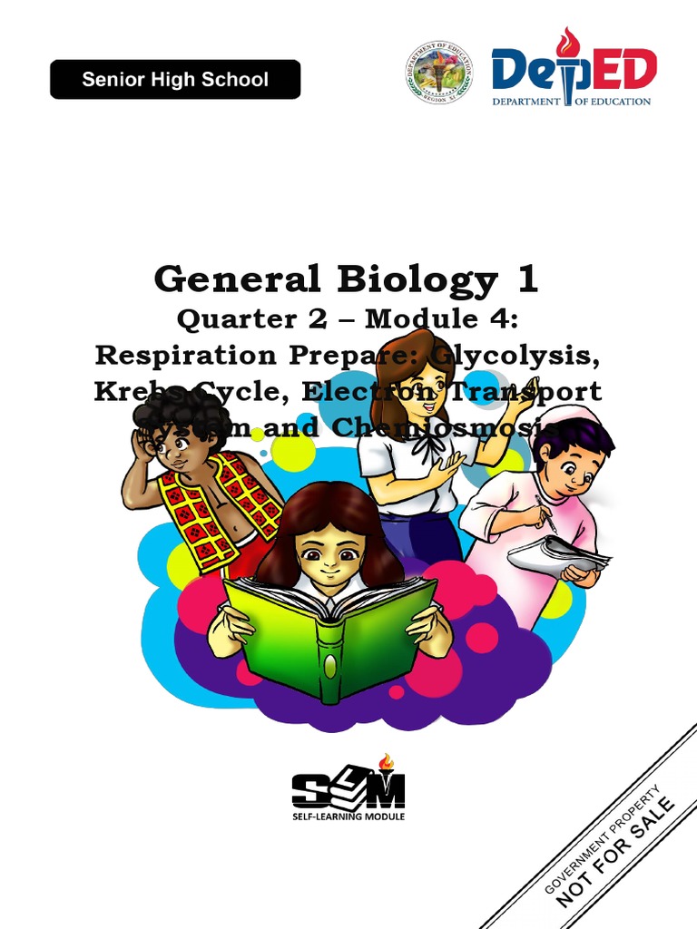 SCHOOL COPY Gen Bio 1 - Q2 Module 4 | PDF | Cellular Respiration ...