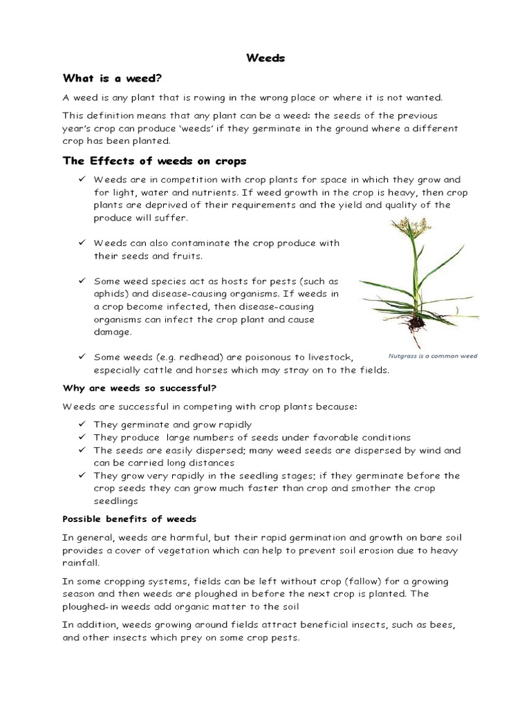 Weeds | PDF | Weed | Herbicide