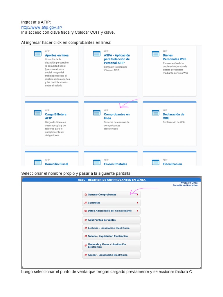 Cómo Realizar Las Facturas en AFIP | PDF